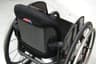 ADI Carbon Fiber Series Back Support - Low
