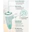 AeroEclipse XL Reusable Breath Actuated Nebulizer for Home Use
